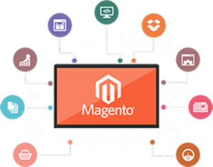 Custom Solutions with Magento Web Development Services